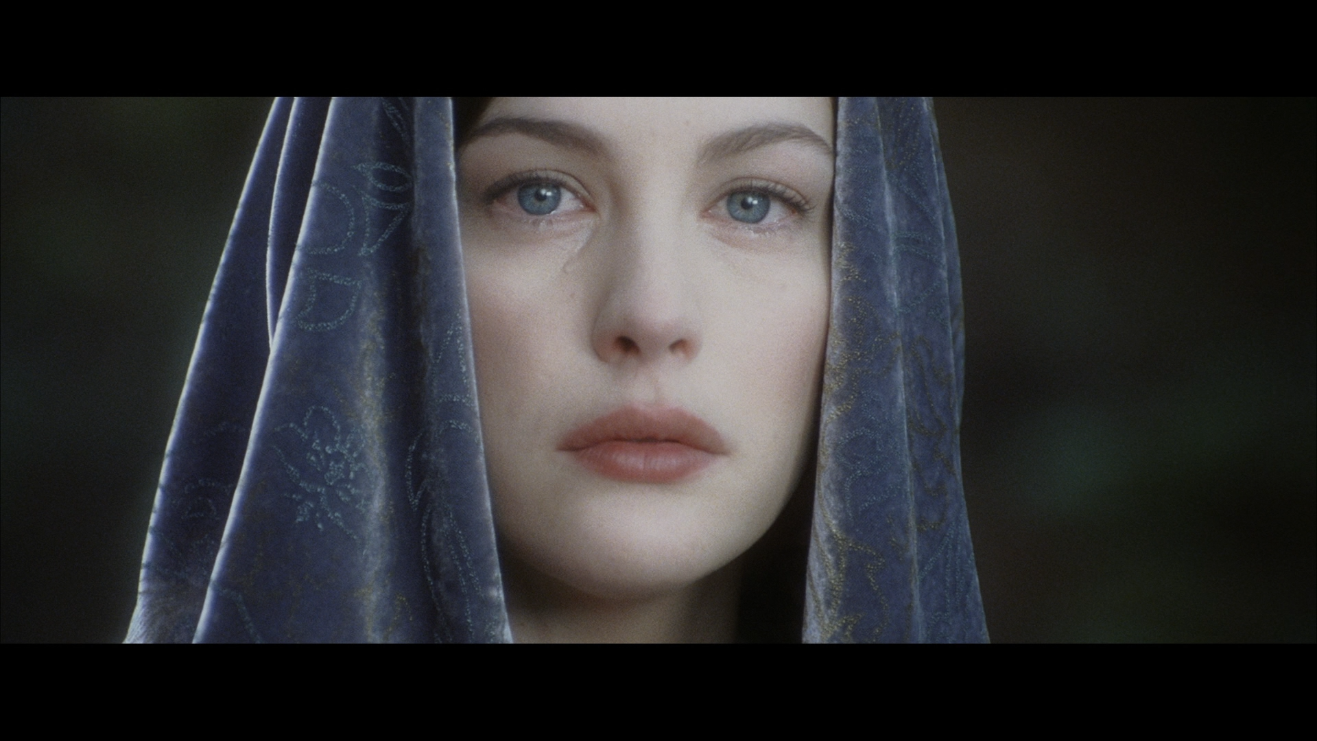 Властелин колец [Трилогия] {Ограниченное расширенное издание} / The Lord of the Rings [The ...