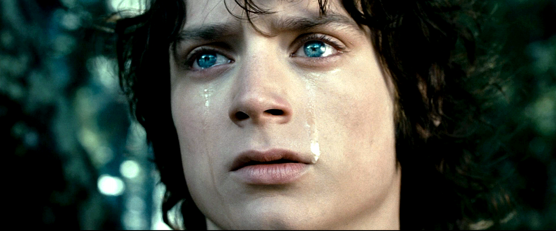 Властелин колец: Братство Кольца [Расширенное издание] / The Lord of ...