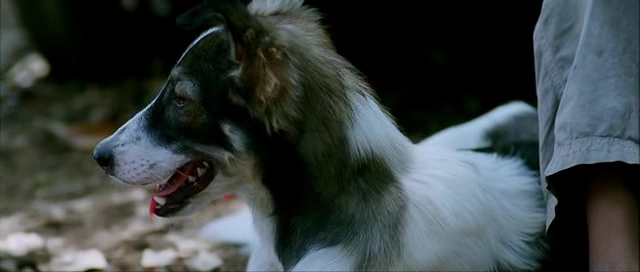 Сорвиголовы / Chillar Party (Викас Баль, Нитеш Тивари) [2011, драма ...