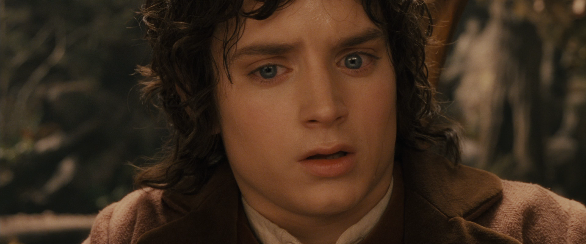 Властелин колец [Трилогия] [Расширенное издание] / The Lord of the ...